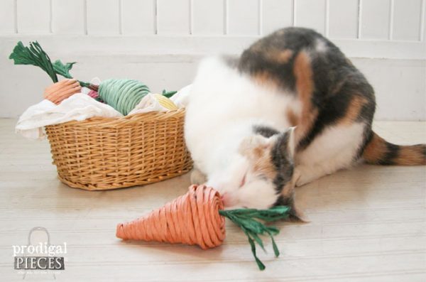 DIY Pet Gifts for Furry Family or Shelter Pets - Prodigal Pieces