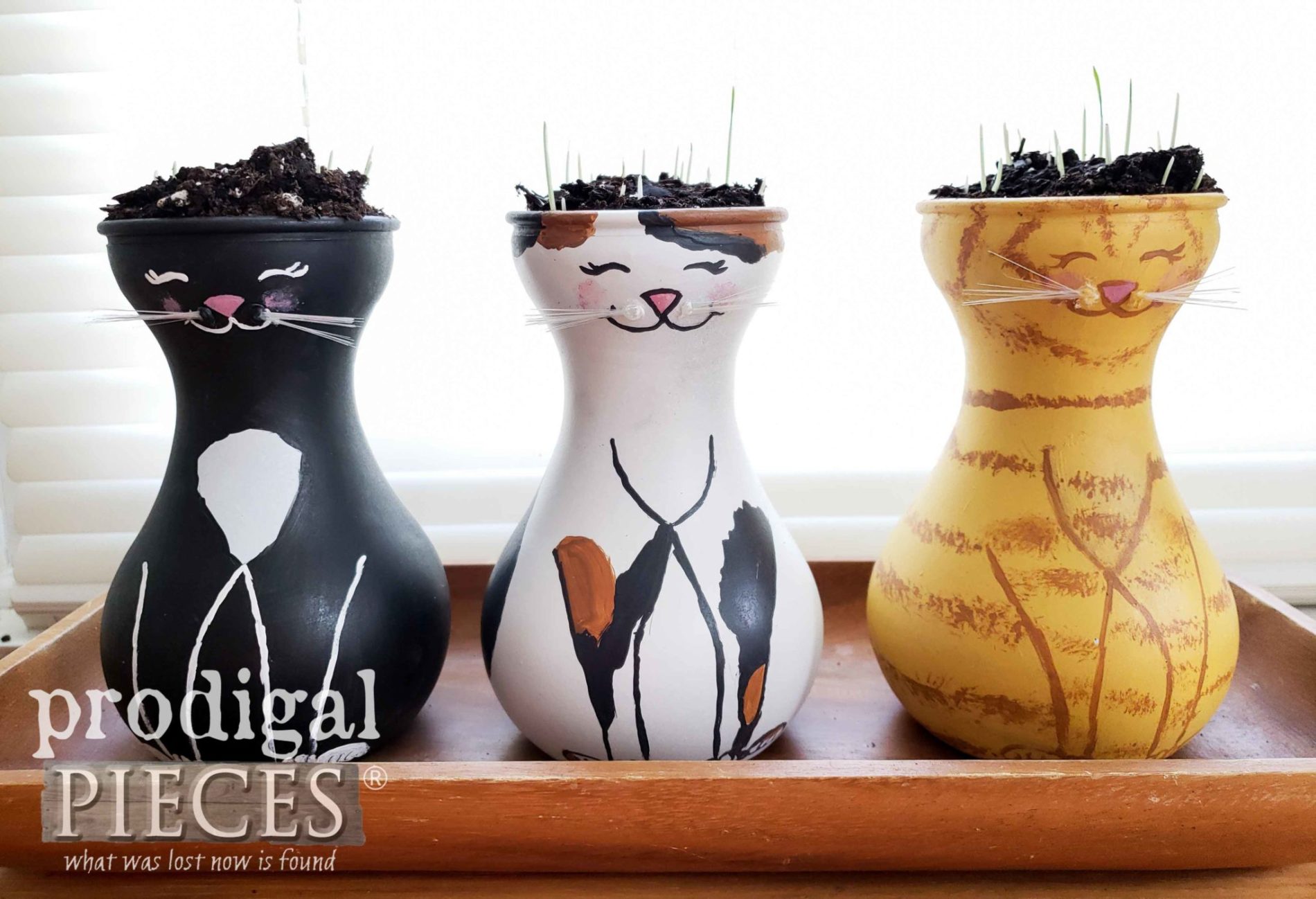 DIY Cat Grass Tutorial for Cats, Dogs, & You - Prodigal Pieces
