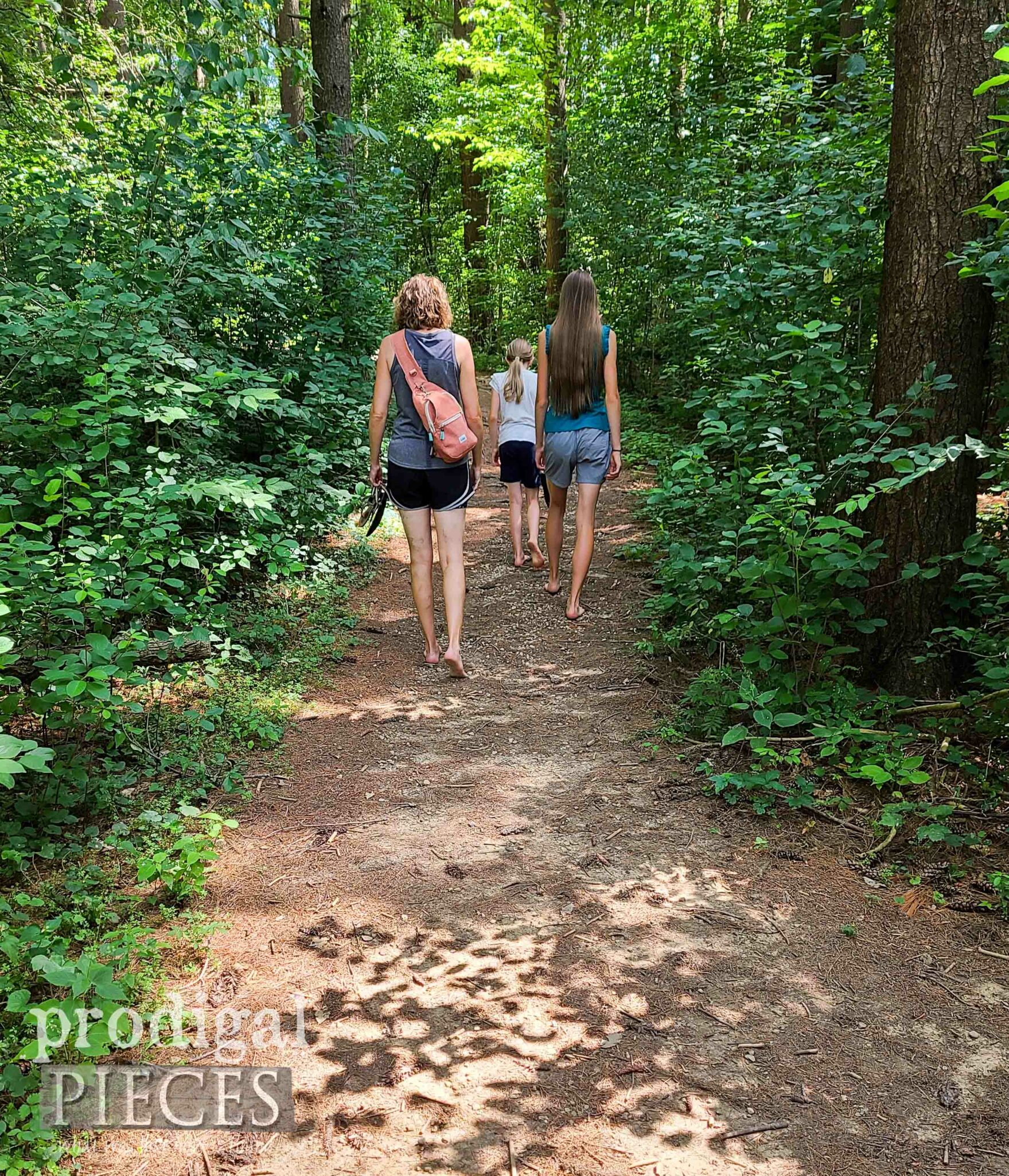My Barefoot Journey Intro - Prodigal Pieces