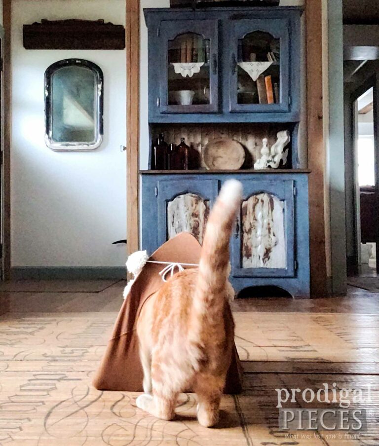 DIY Cat Tent Tutorial - Prodigal Pieces