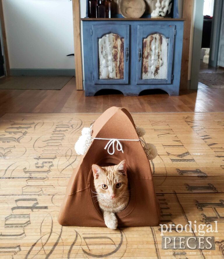 DIY Cat Tent Tutorial - Prodigal Pieces