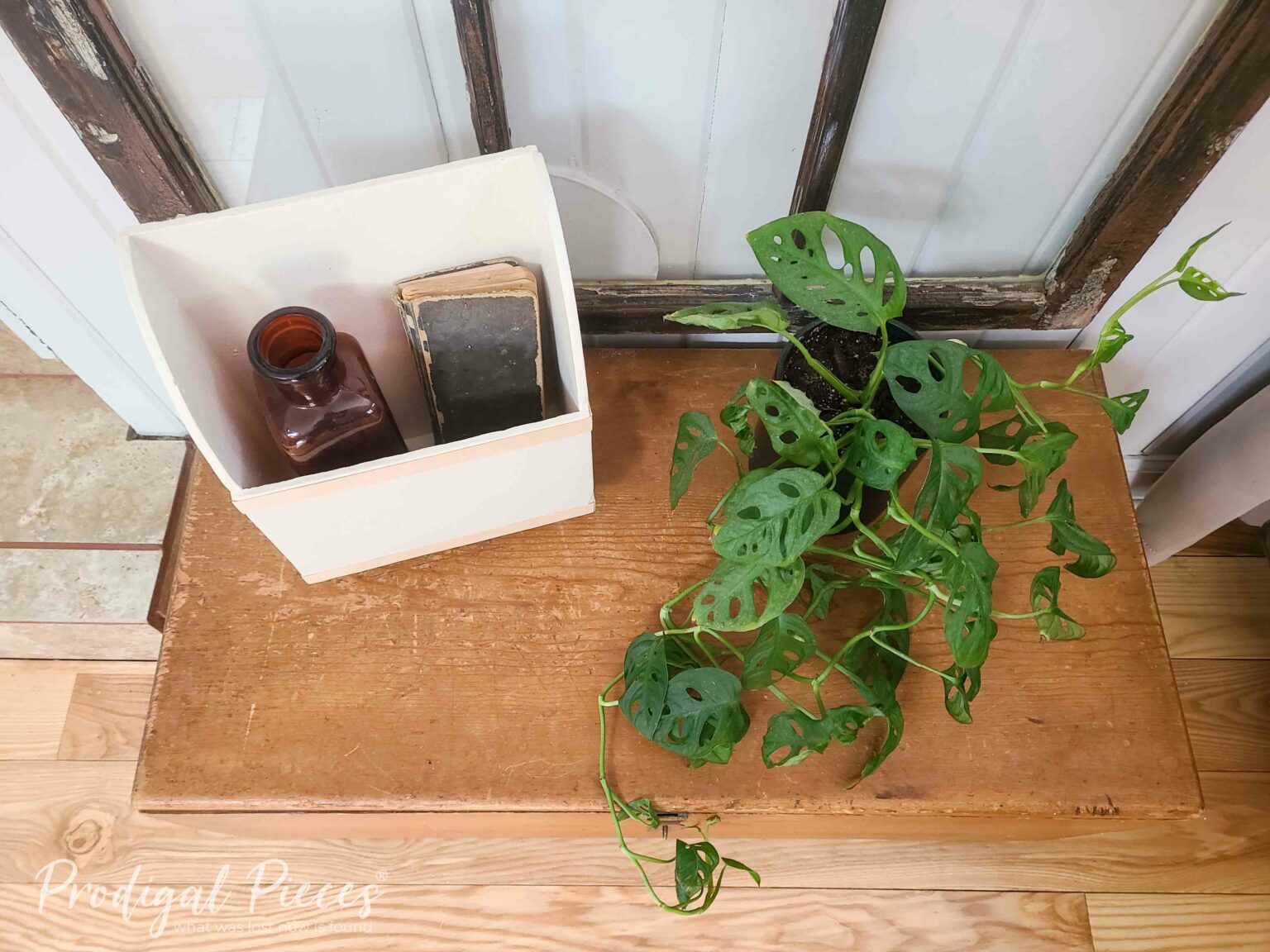 Upcycled Egg Carton for Home Decor - Prodigal Pieces