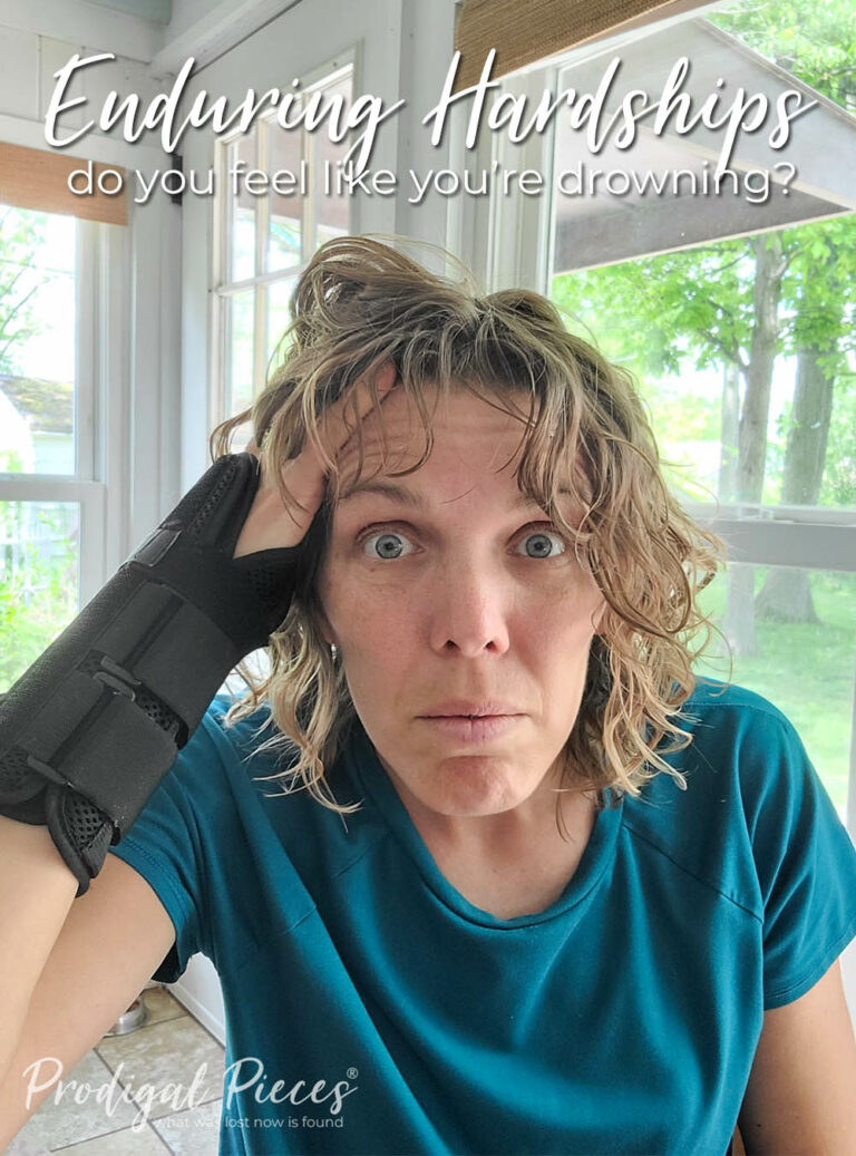 Enduring Hardships ~ Life Update #12 - Prodigal Pieces